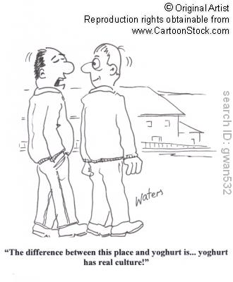 New Town culture - INTI - International New Town Institute